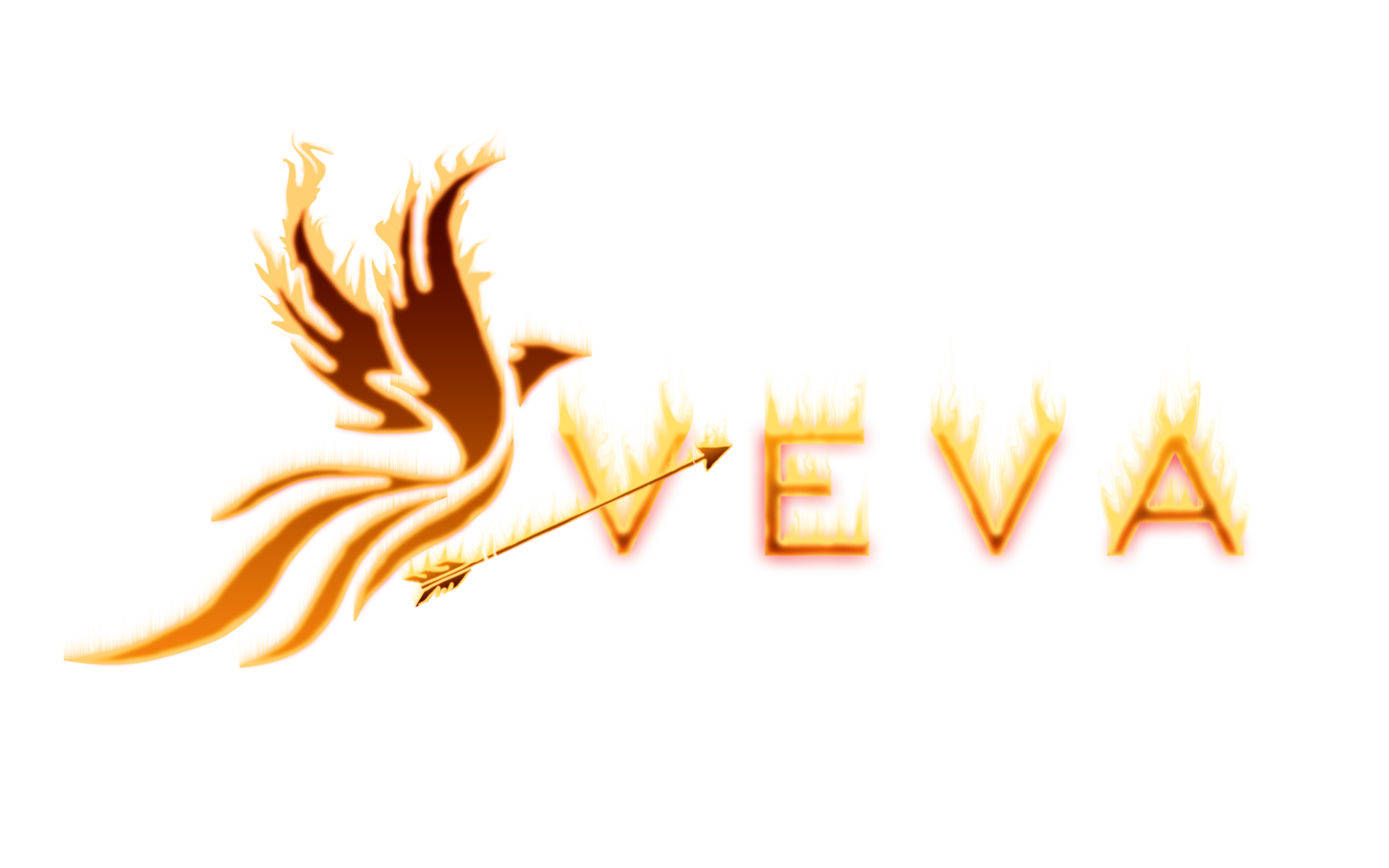 VEVA | Accountants On Fire